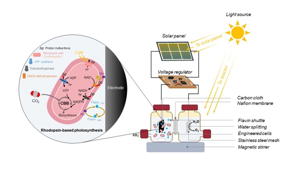 Oxford Robotics Institute | People - Ingmar Posner